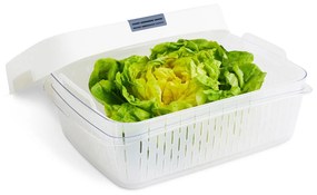 Rotho Speciální box na ovoce a zeleninu, s ventilací a filtrem, do lednice, Fridge Fresh, 6,4l - modrý