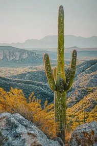 Obraz Cactus B 60x90 cm vícebarevný