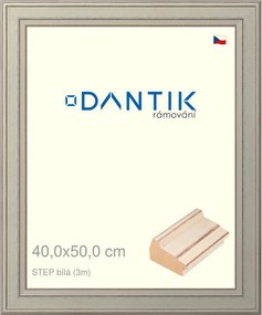DANTIK rámeček 40x50 | STEP bílá (Sklo Čiré)