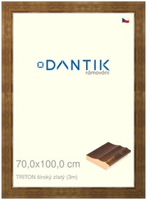 DANTIK rámeček 70x100 | TRITON široký zlatý (Plexi Čiré)