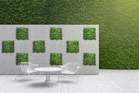 Europe Grass Umělý rostlinný panel FRESH LIGHT GREEN 50 x 50 cm - Panel 50x50