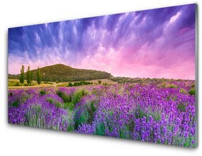 Obraz na skle Louka Květiny Hory Příroda 140x70 cm