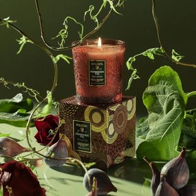 Voluspa svíčka Forbidden Fig, 255 g