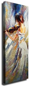 Nástěnný obraz na plátně Violin Player, 30 x 80 cm