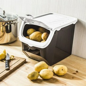 Orion Skladovací černý box na cibuli a brambory,zelené víko (12l)
