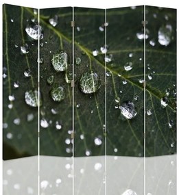 Ozdobný paraván Zelené listy kapky vody - 180x170 cm, pětidílný, obustranný paraván 360°