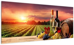 Obraz - víno a vinice při západu slunce (100x40cm)
