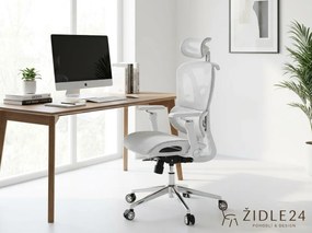 Ergonomická kancelářská židle FORCE - šedá síťovina