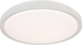XXXLutz STROPNÍ SVÍTIDLO, 48/8 cm Novel - Online Only svítidla - 008227188602