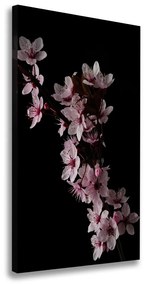Wallmuralia Vertikální Foto obraz canvas Květy višně 50x100