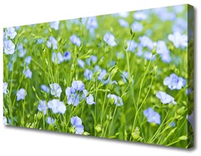 Obraz na plátně Květiny Tráva Rostlina Příroda 120x60 cm