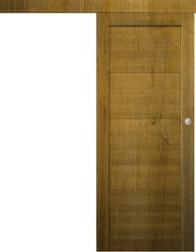 posuvné interiérové dveře na stěnu vasco doors SANTIAGO plné, model 1 Průchozí rozměr: 70 x 197 cm, Orientace dveří: Levé dveře, Dekor: Dub riviera