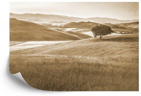 Fototapeta Rolling Hills Faded Vintage In Sepia Hladký vinyl 315x210