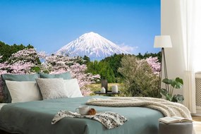 Samolepící fototapeta sopka Fuji - 300x200 cm