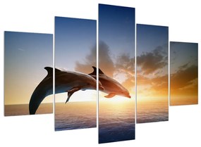 Obraz delfínů (150x105 cm)