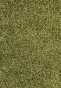 Vopi | Kusový koberec Dream Shaggy 4000 green - Kulatý 120 cm průměr