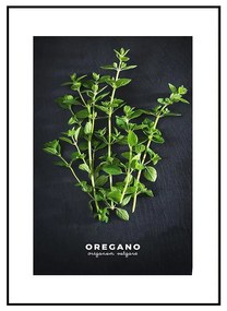 Obraz Artbox 50x70 AB182 Oregano OB-14442