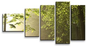 Sablio Obraz - 5-dílný Lesní cesta - 100x60 cm