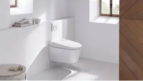 Geberit Omega20 - Ovládací tlačítko splachování bílá/lesklý chrom