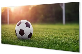 akrylový obraz Fotbal tráva gateway 125x50 cm