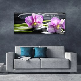 Plexisklo-obraz Orchidej Kameny Zen Lázně 125x50 cm