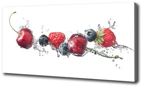 Wallmuralia Foto obraz canvas Lesní ovoce 100x50