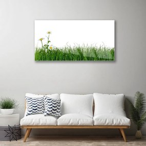 Obraz na skle Plevel Příroda Rostlina 120x60 cm
