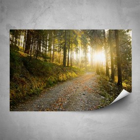 Plakát - Lesní cesta (60x40 cm) - PopyDesign
