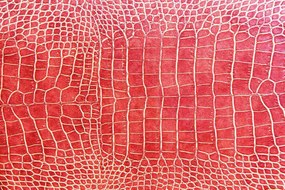 DIMEX | Samolepicí vliesová fototapeta na zeď Textura červené krokodýlí kůže MA-5-2588 | 375 x 250 cm | červená, bílá