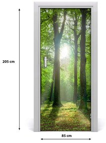 Fototapeta na dveře slunce v lese 85x205 cm