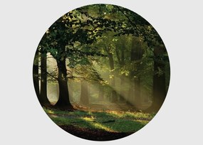 Samolepící vliesová fototapeta na zed' Prosluněný Les | 70 x 70 cm | DCR3210