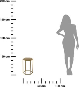 STOJAN NA KVĚTINÁČ HEXA 40X24X28 CM ZLATÁ