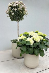 Květináč CHICO, sklolaminát, výška 42 cm, béžová
