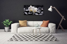 Obraz na plátně Kameny Zen Bílá Orchidej 120x60 cm