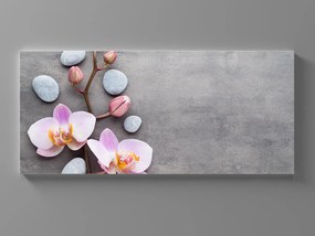 Liox XXL OBRAZ ORCHIDEJ NA ŠEDÉM POZADÍ Rozměr: 200 x 100 cm