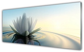 Plexisklo-obraz Vodní Lilie Rybník Příroda 125x50 cm