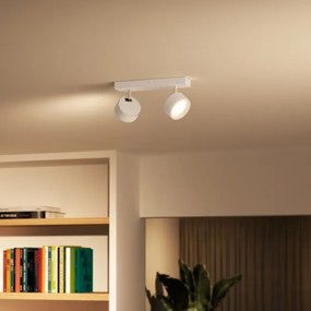 Philips - LED Bodové svítidlo BRACIA 2xLED/5,5W/230V bílá