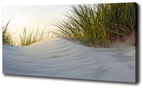 Wallmuralia Foto obraz canvas Mořské duny 100x50