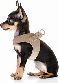 MILK&PEPPER Postroj pro psy Vendome Taupe Velikost: 35