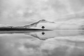 Fotografie Reflective trees on the lake, Thanh Thuy