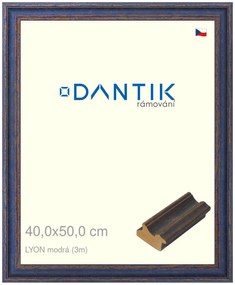 DANTIK rámeček 40x50 | LYON modrá (Sklo Čiré)