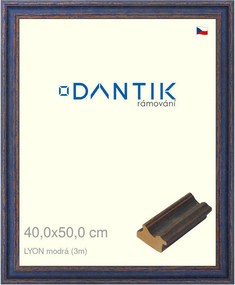 DANTIK rámeček 40x50 | LYON modrá (Sklo Čiré)