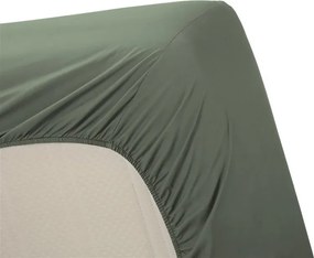 Bambusové bavlněné prostěradlo Ambiante - zelené (Přirozeně antibakteriální a absorbuje až o 70 % více vlhkosti než bavlna)