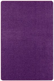 Hanse Home, Kusový koberec Nasty 101150 Purple, 160x240, fialová, chodba / předsíň
