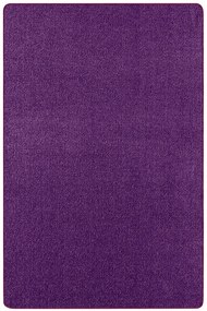 Hanse Home, Kusový koberec Nasty 101150 Purple, 80x200, fialová, chodba / předsíň