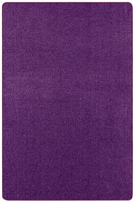 Hanse Home Collection koberce Kusový koberec Nasty 101150 Purple - 67x120 cm
