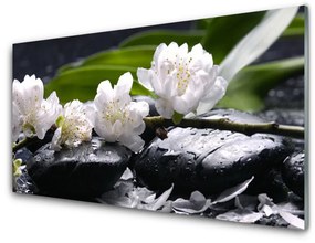 akrylový obraz Květ Kameny 140x70 cm