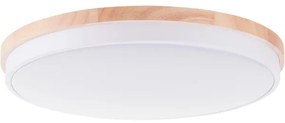 Brilliant - LED Stm stropní svítidlo BAARLO LED/36W/230V pr. 50 cm bílá + DO