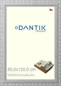 DANTIK rámeček 80x120 | ROKOKO bílá lesklá (Plexi Čiré)