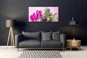Obraz na skle Květ Kameny Zen Rostlina 120x60 cm